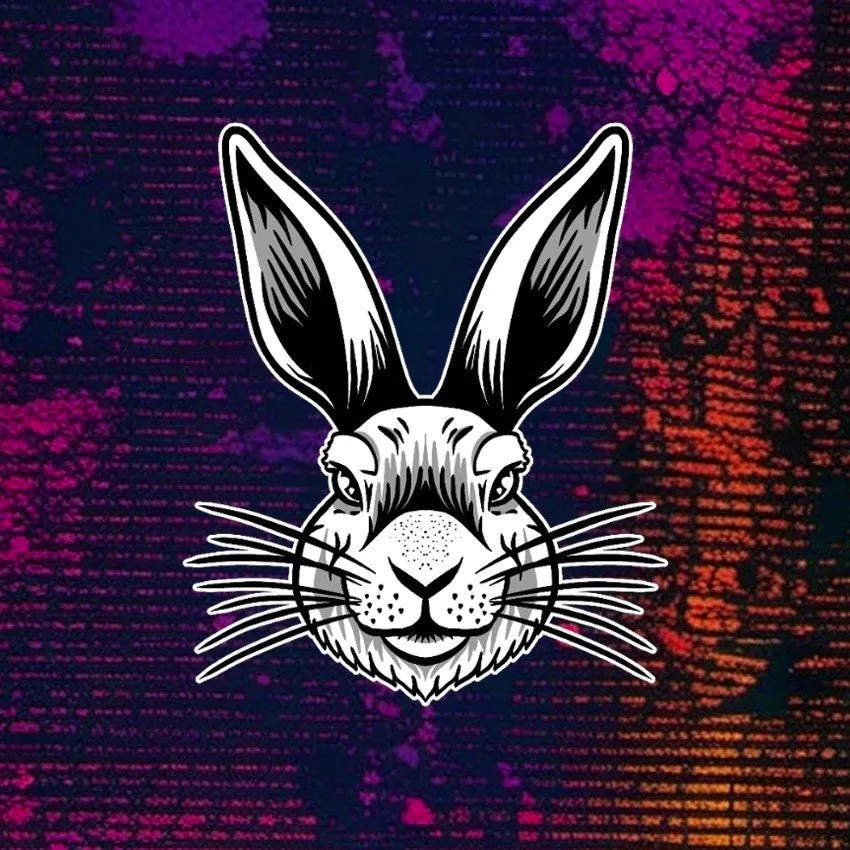 Novacaine Festival - Upcoming Events & Tickets